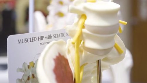 Clint Merritt, PA-C | Cody Regional Health